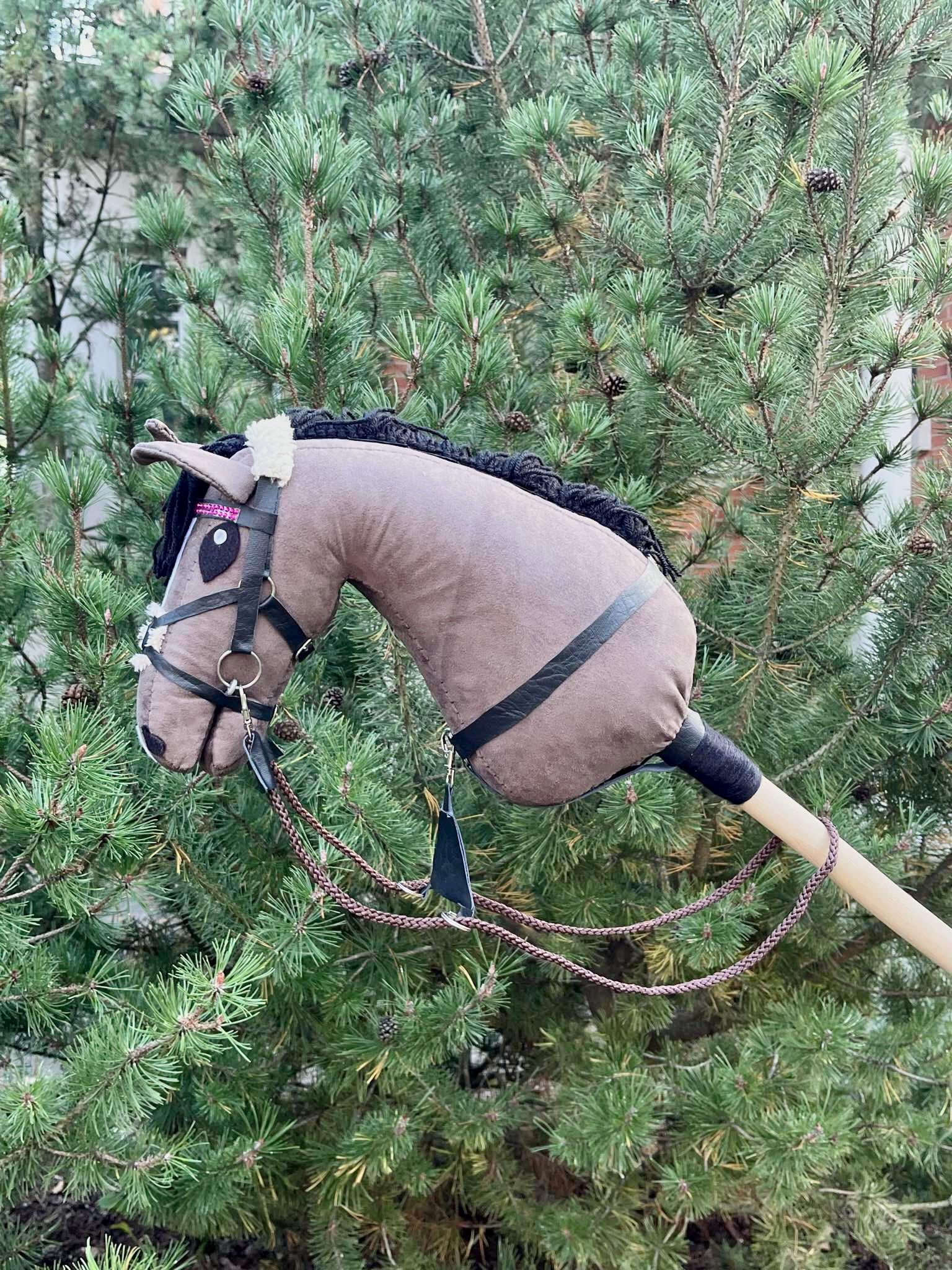 Hobbyhorse, Hobby Horse, Stick Horse, Stick Horses for Kids - Etsy