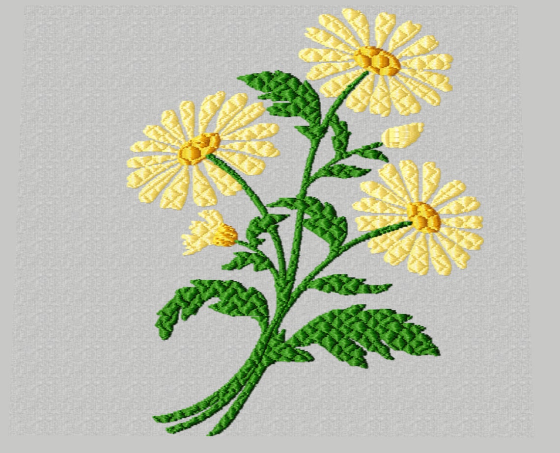 Daisies Machine Embroidery Design - Etsy