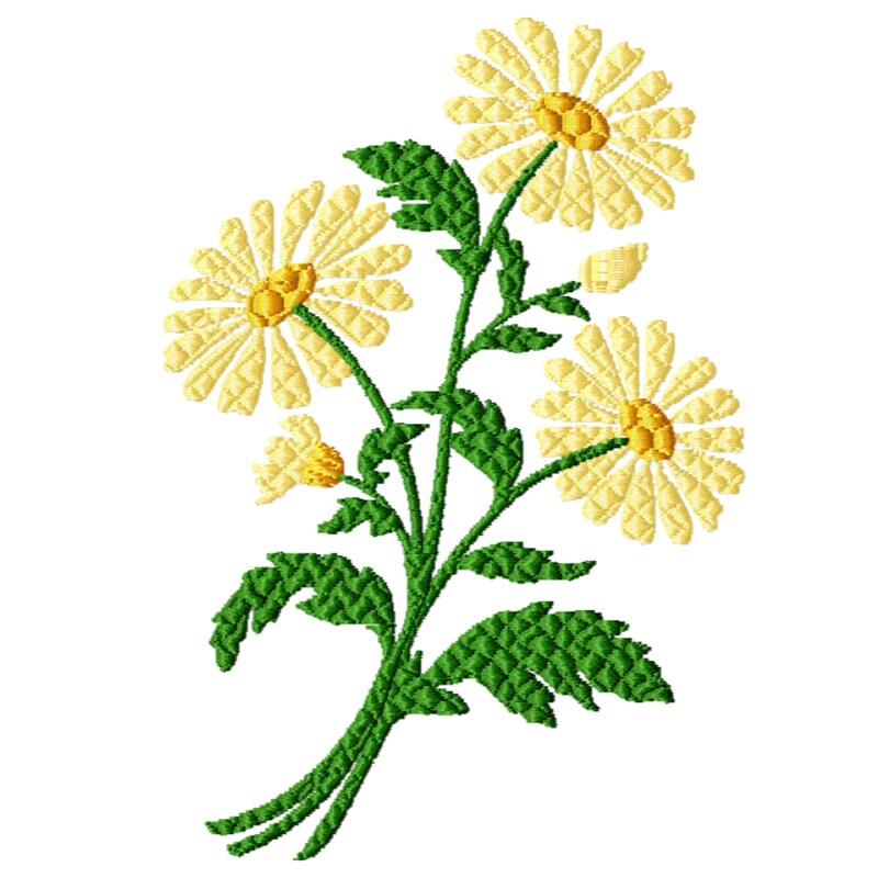 Daisy Embroidery - Etsy