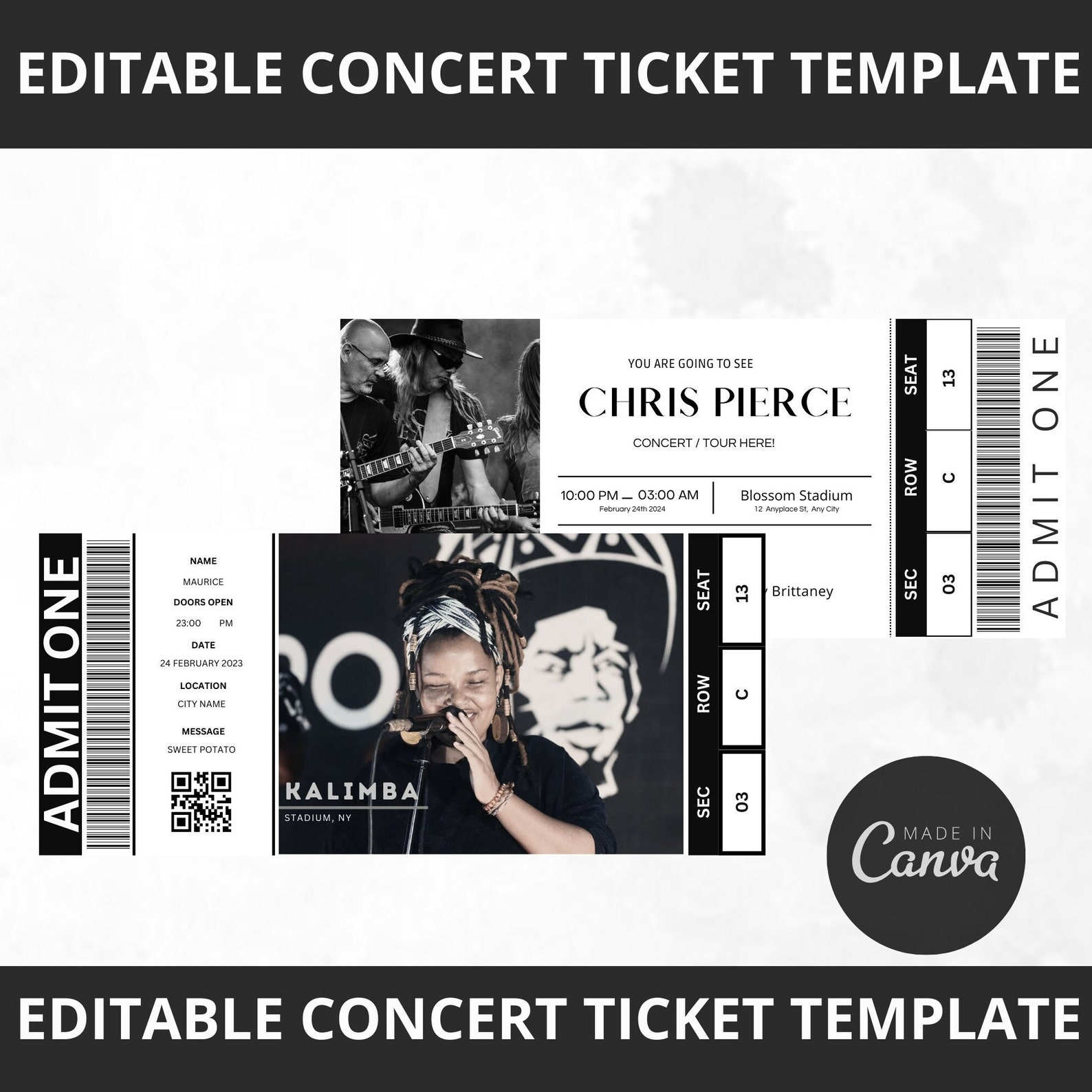 Editable Concert Ticket Template, Printable Event Ticket, Custom ...