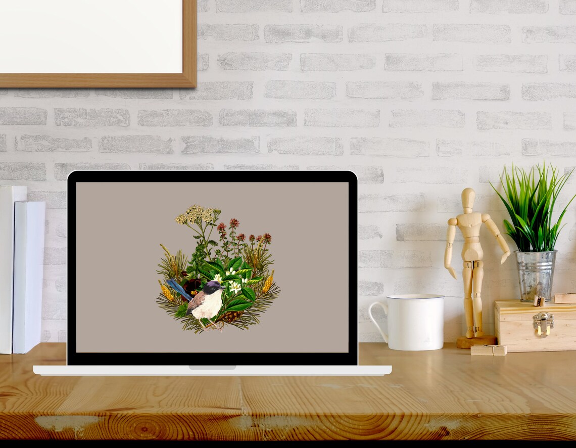 10 Cottagecore, Light Academia Desktop Wallpapers - Etsy