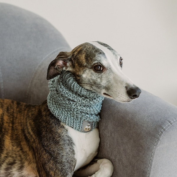 Knitted Dog Scarf - Etsy