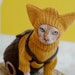 Yellow Cat Hat Hand Knit Sphynx Cat Accessories Pet Winter Beanie for ...