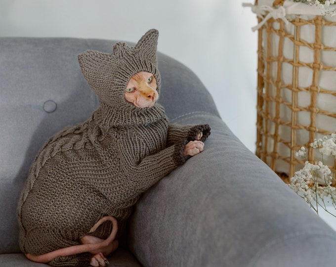 Sphynx Cat Sweater and Hat Set Hand Knit Cat Jumpsuit Hairless Cat Jumper and Beanie Set Cat ...