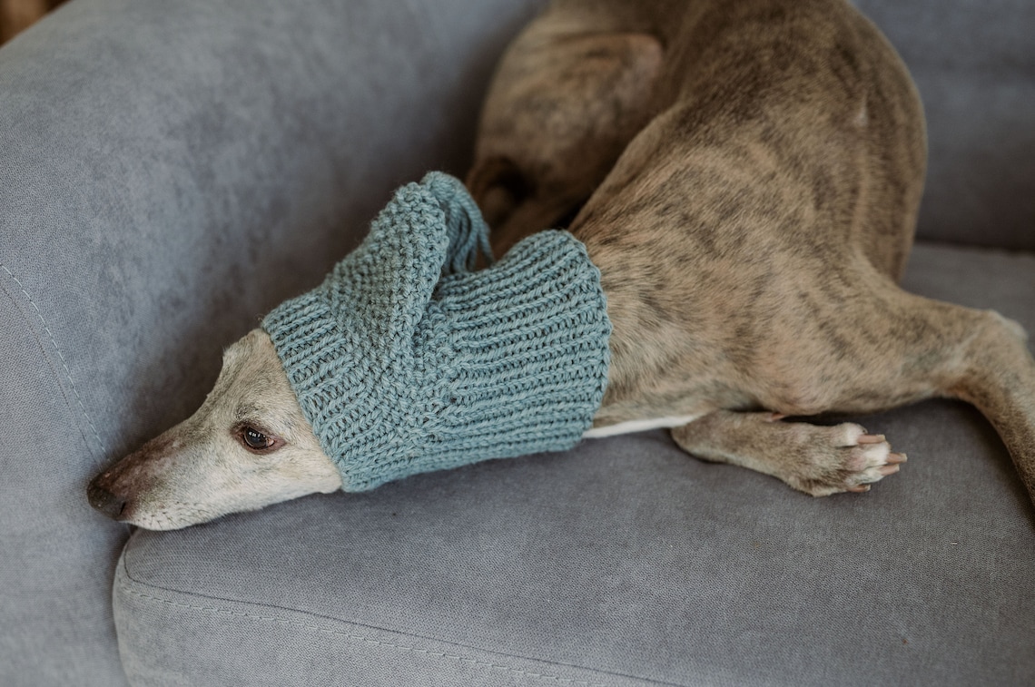 Dog Hat Hand Knit Beanie Wool Greyhound Hat Large Dog Accessories ...