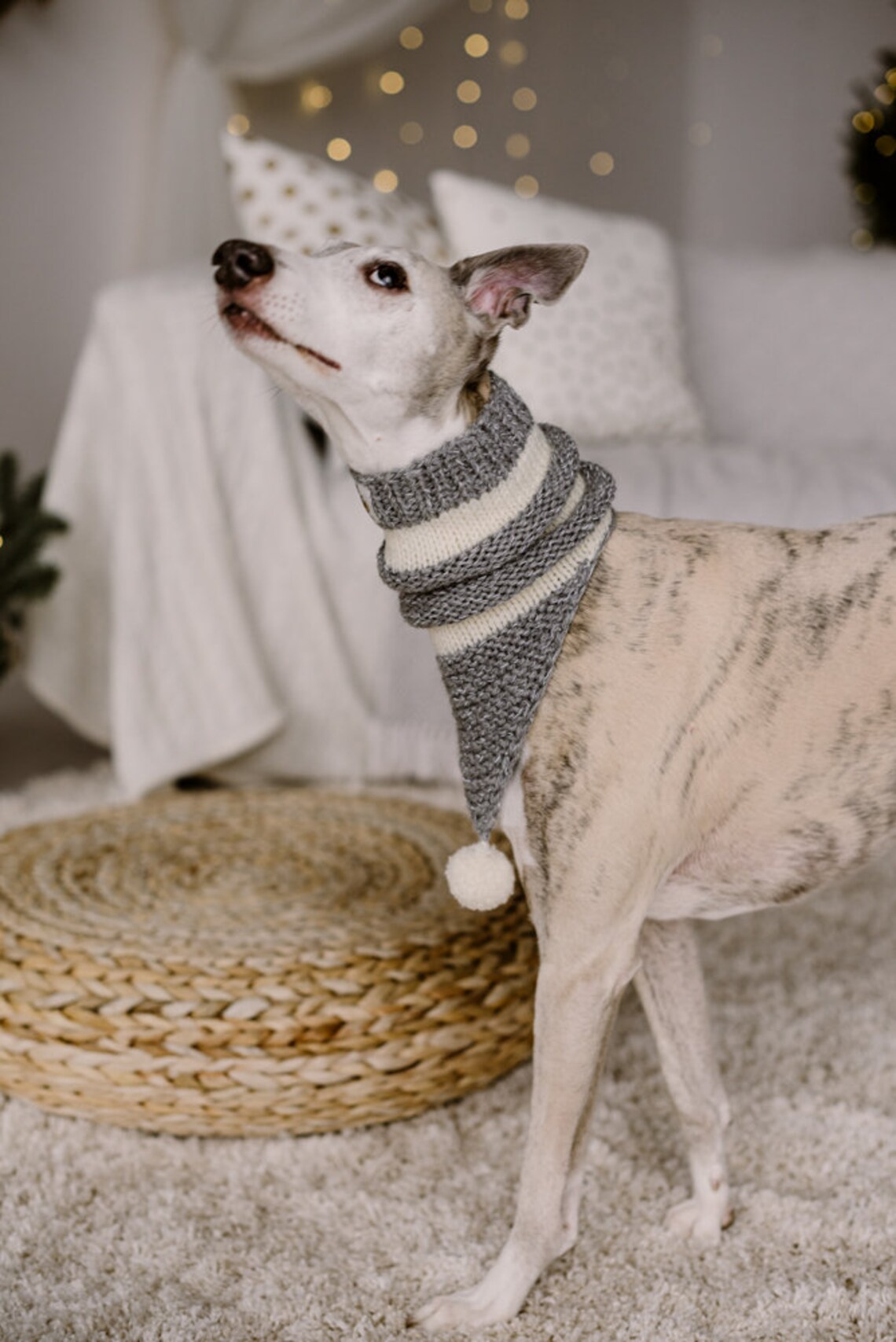 Wool Big Dog Scarf Hand Knit Greyhound Snood Dog Neck Warmer Whippet ...