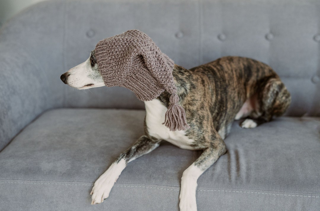 Dog Beanie Hat Wool Greyhound Snood Hand Knit Whippet Hat Windhund Ear ...