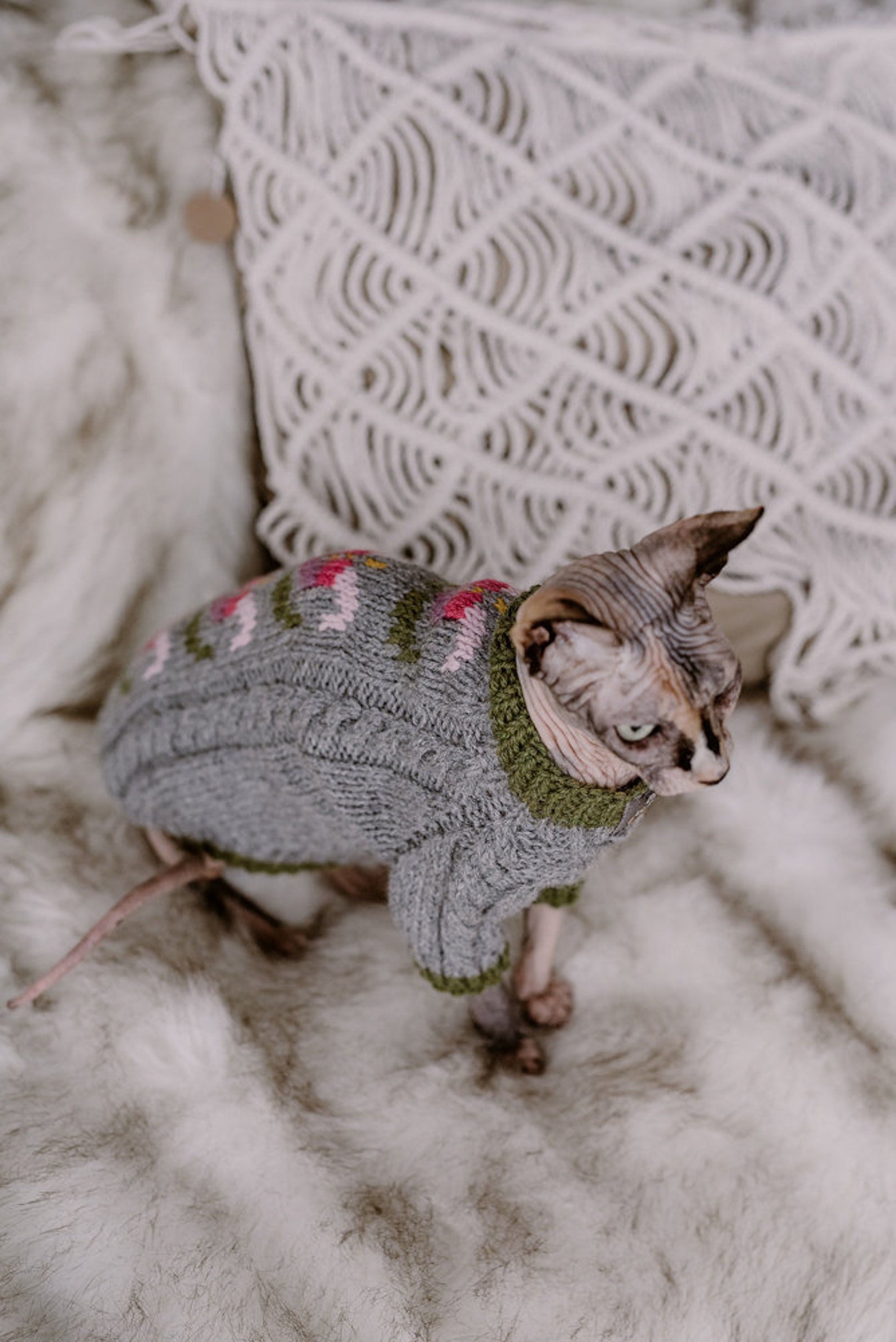 Cat Sweater Cable Knit Sphynx Cat Jumper With Tulips Hairless - Etsy