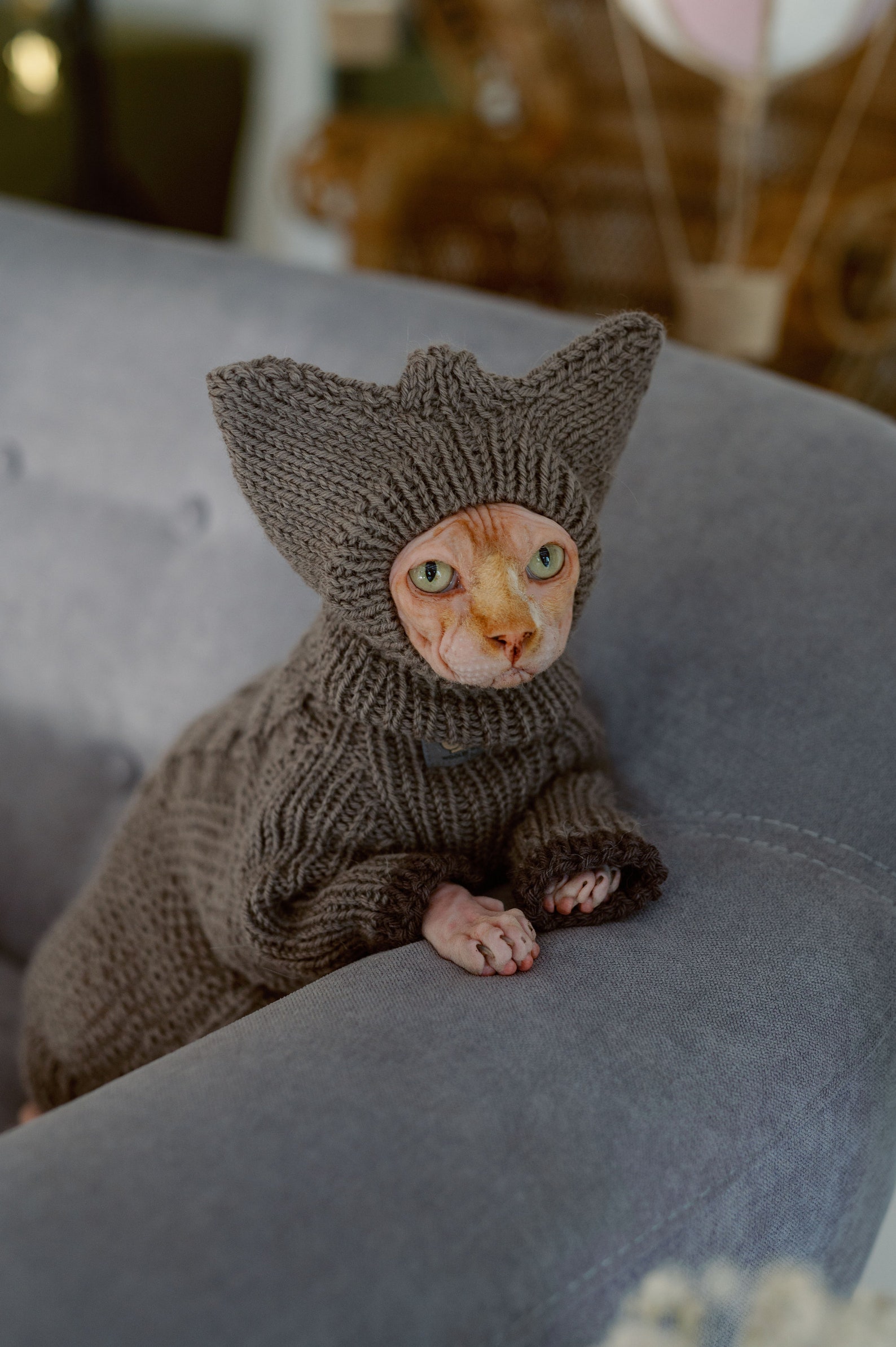 Sphynx Cat Sweater and Hat Set Hand Knit Cat Jumpsuit Hairless Cat ...