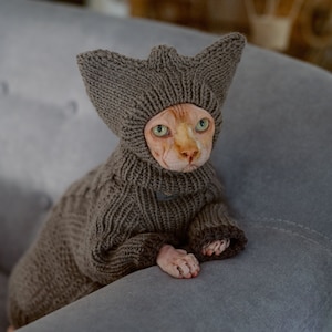 Cat Sweater and Hat Set Hand Knit Sphynx Cat Jumpsuit Cat Clothes ...