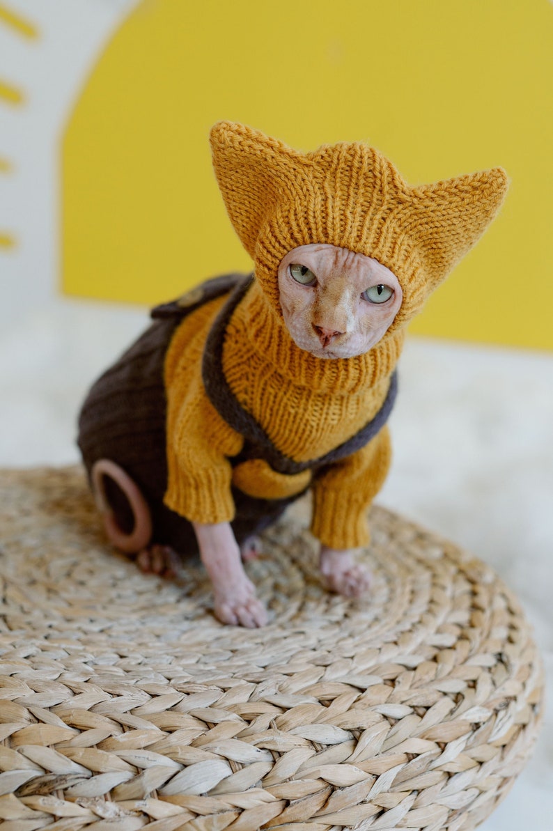 Yellow Cat Hat Hand Knit Sphynx Cat Accessories Pet Winter Beanie for ...