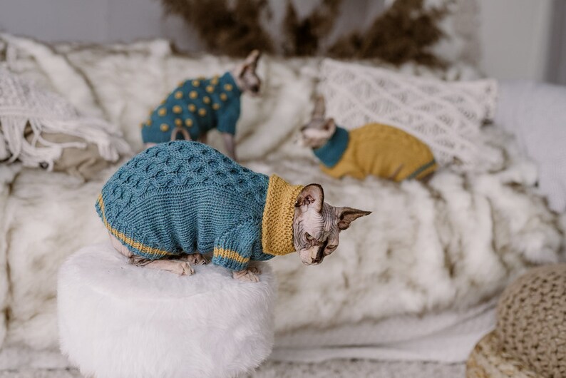 Cable Knit Sweater for Cat Alpaca Wool Devon Rex Clothes Sphynx Cat ...