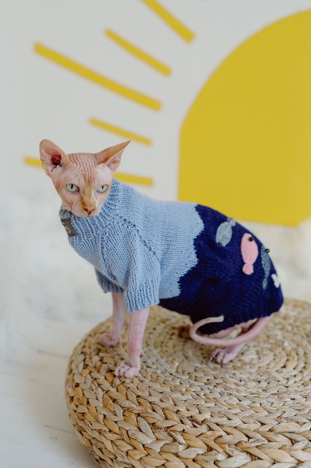 Hairless Cat Sweater Blue Knit Sphynx Cat Pullover Jumper Devon Rex ...