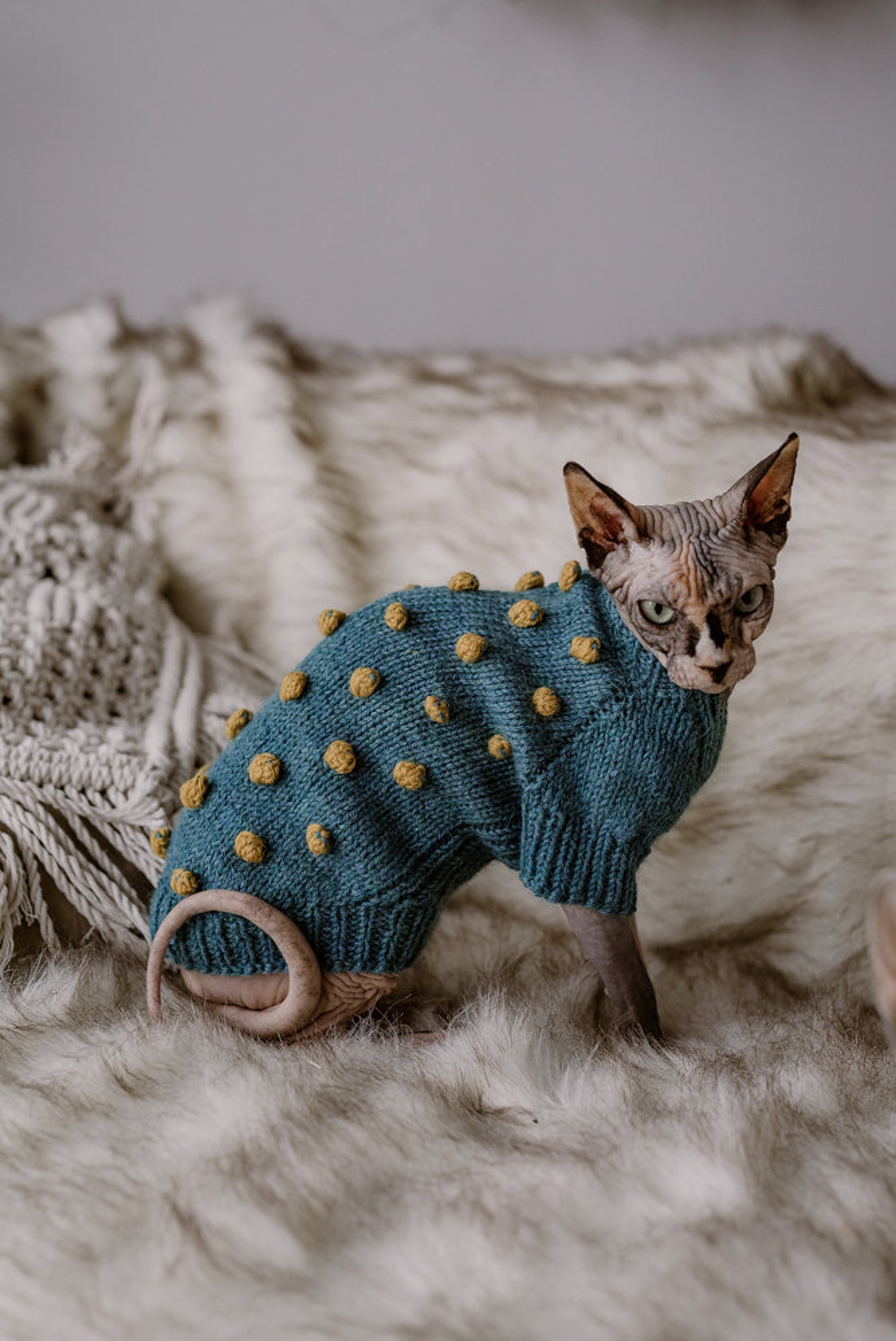 Blue Sweater for Cat Devon Rex Clothes Hairless Cat Popcorn | Etsy