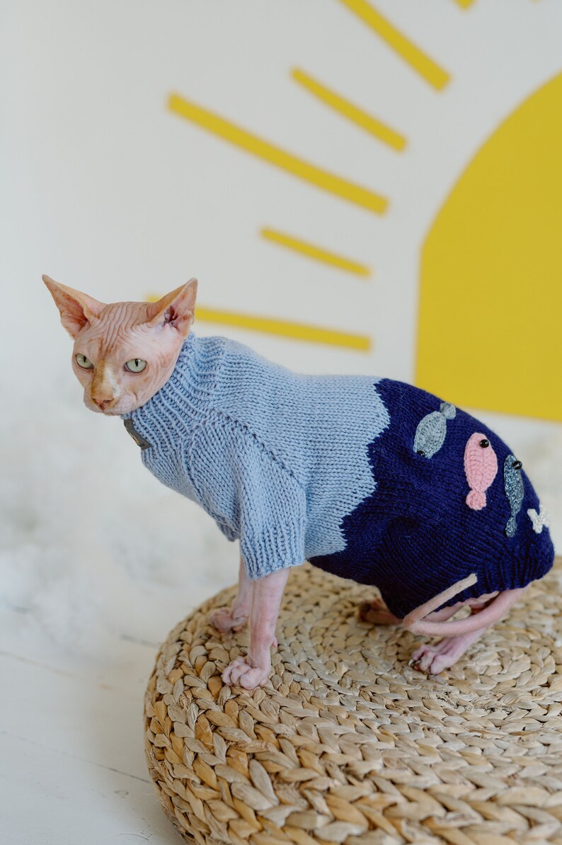 Hairless Cat Sweater Blue Knit Sphynx Cat Pullover Jumper Devon Rex ...