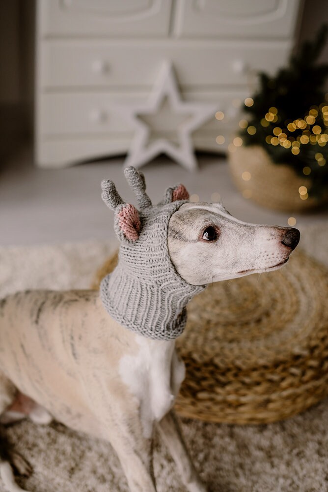 Reindeer Dog Hat Hand Knit Dog Snood Whippet Ear Warmer - Etsy