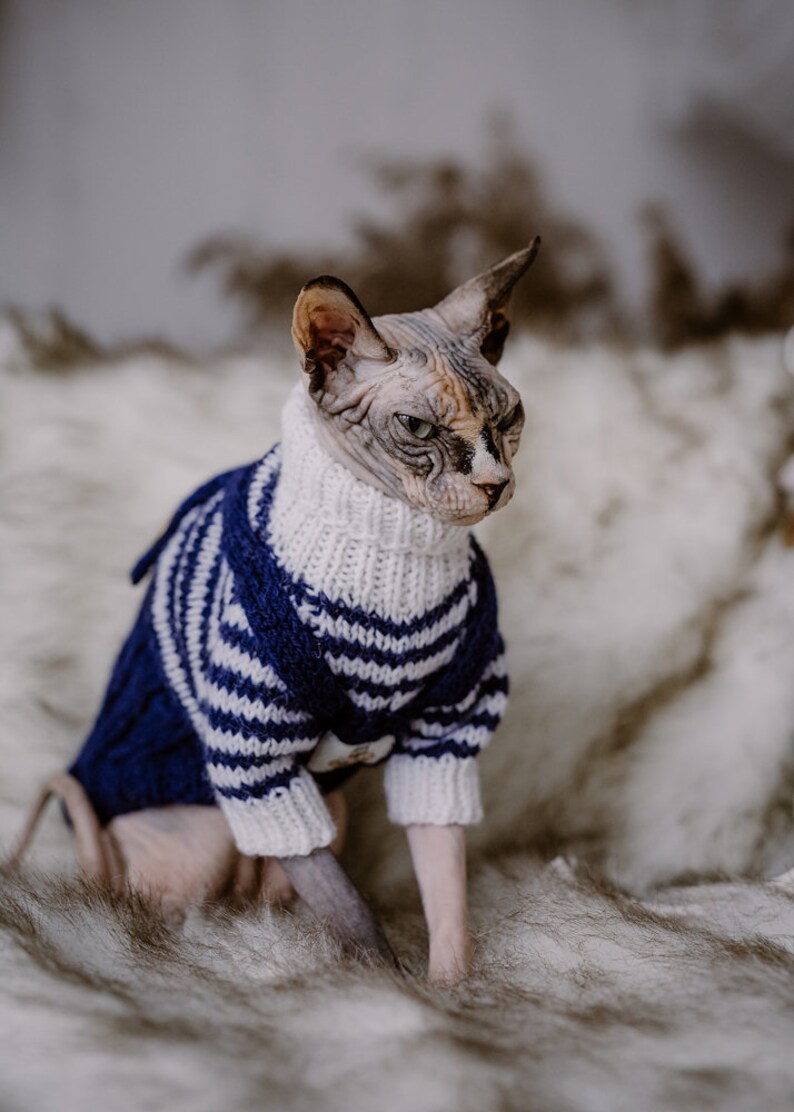 Hand Knit Sweater for Cat Alpaca Wool Devon Rex Clothes - Etsy