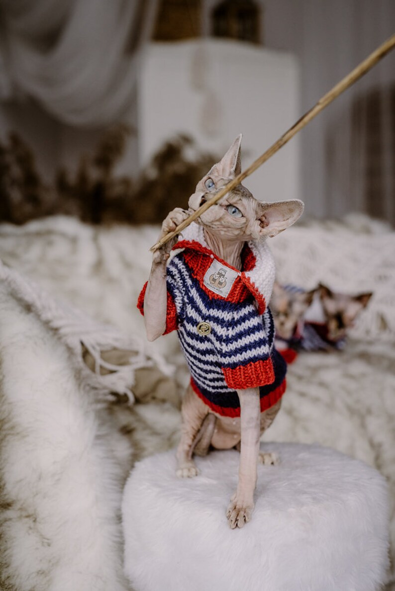 Hand Knit Striped Cat Sweater With Collar - Alpaca Wool Pet Outfit - Etsy