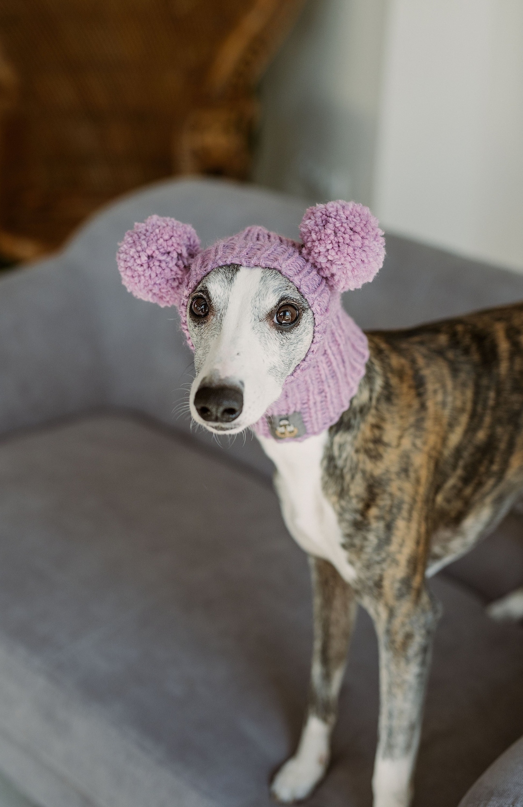Purple Dog Hat Whippet Pom Pom Hat Beanie Greyhound Ear Warmer Clothing ...