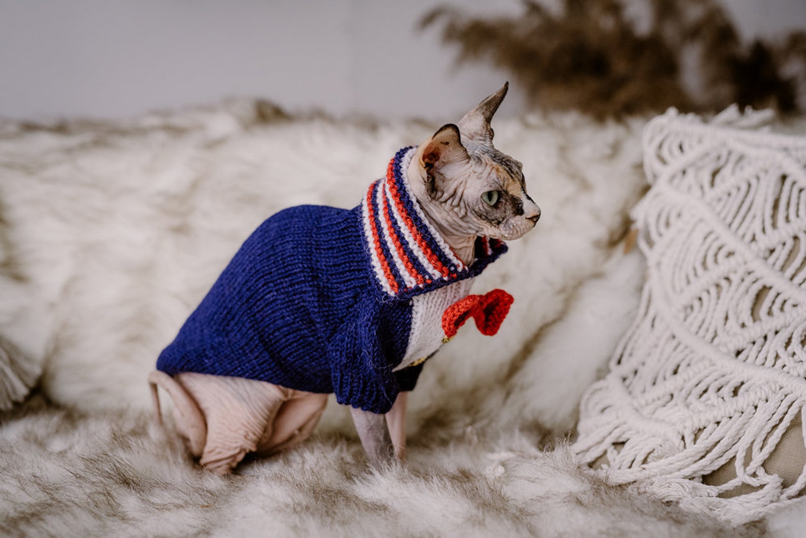Sphynx Cat Sweater Blue Tuxedo With Bow Tie Hand Knit Wool | Etsy