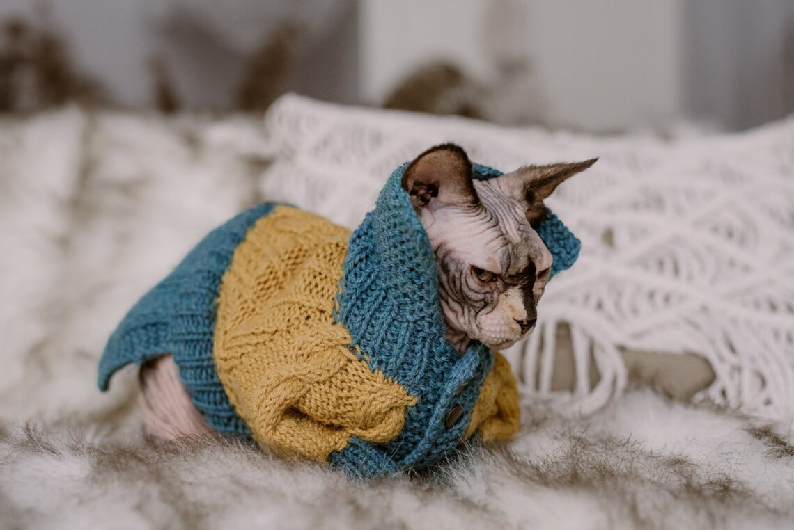 Alpaca Wool Cat Sweater Hand Knit Sphynx Cat Turtle Neck - Etsy