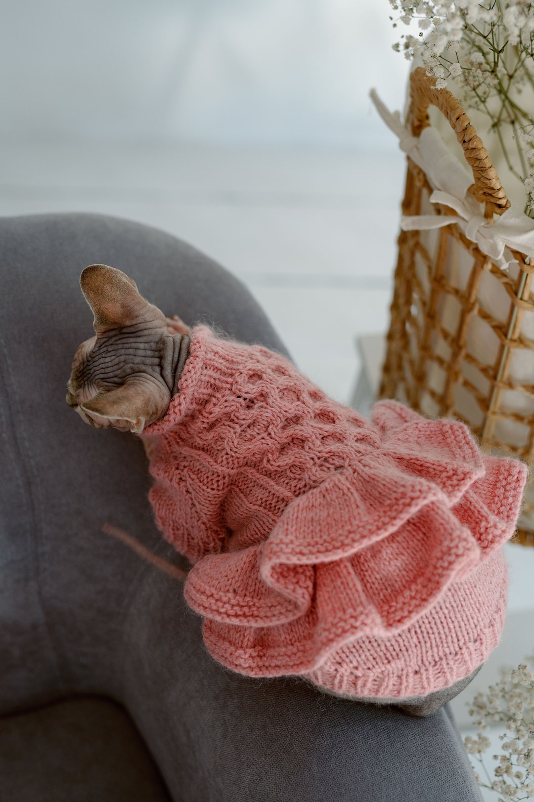 Pink Girl Cat Dress Sphynx Cat Clothes Hand Knit Layered Dress for ...