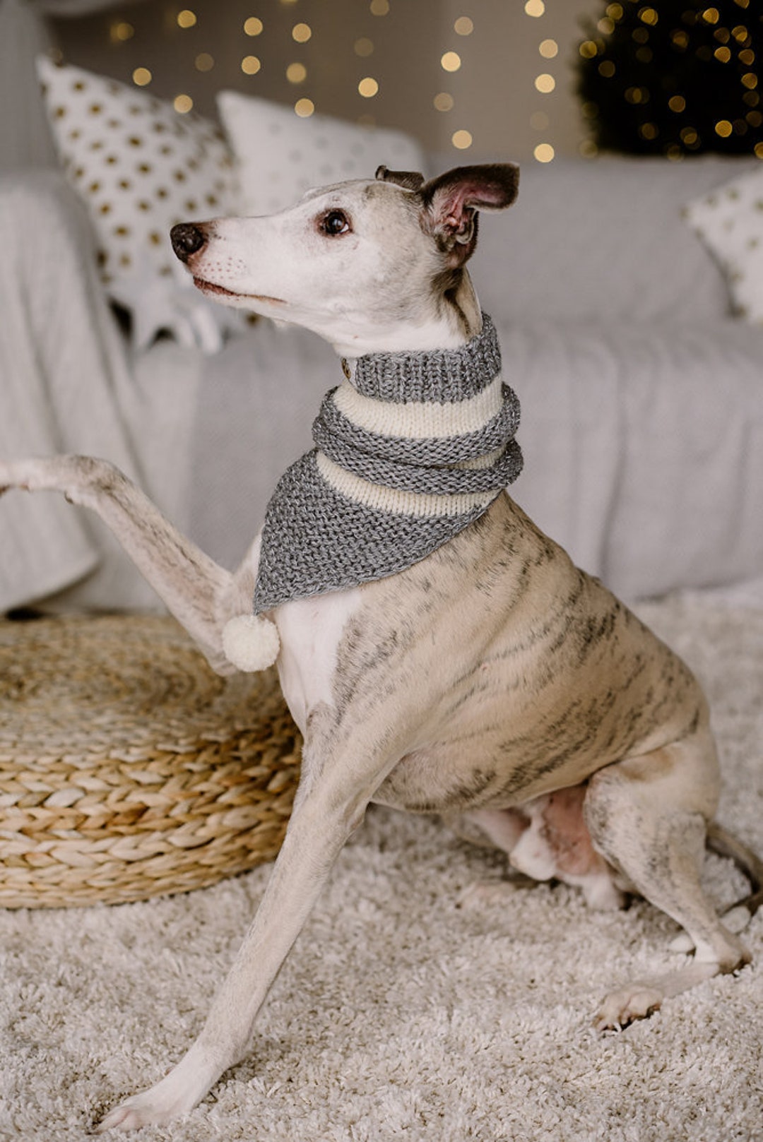 Wool Big Dog Scarf Hand Knit Greyhound Snood Dog Neck Warmer Whippet ...