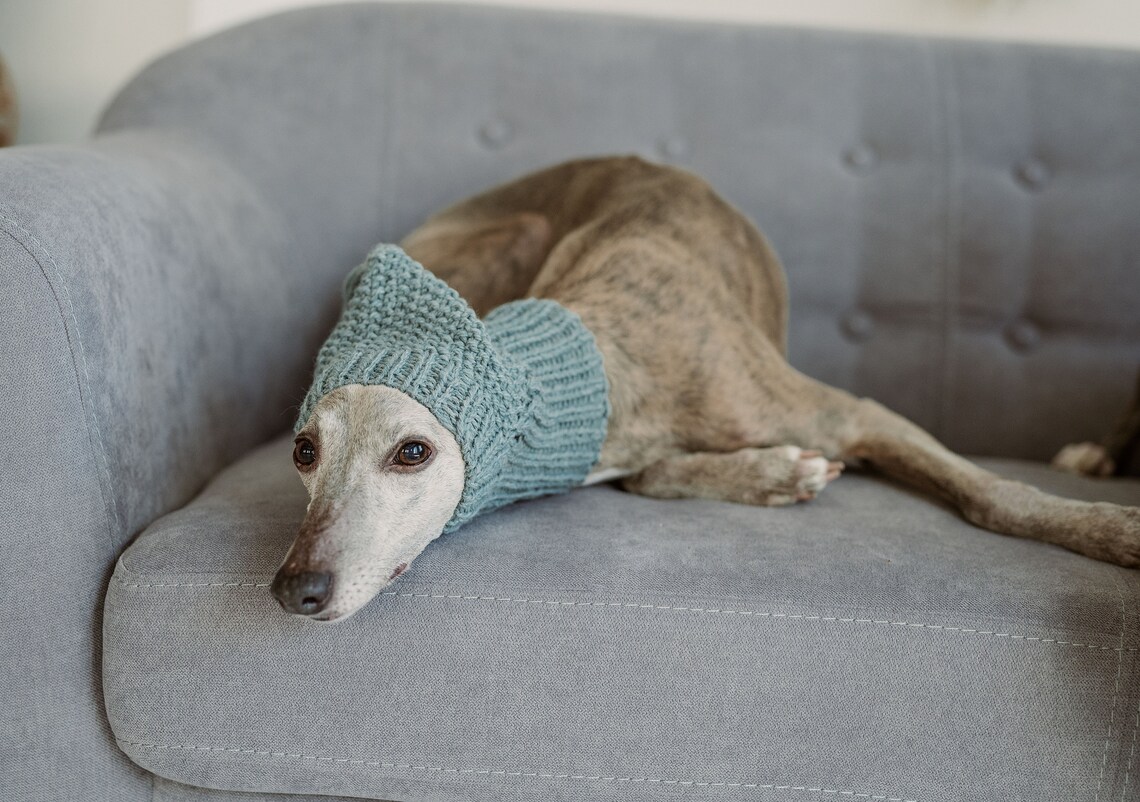 Dog Hat Hand Knit Beanie Wool Greyhound Hat Large Dog Accessories ...