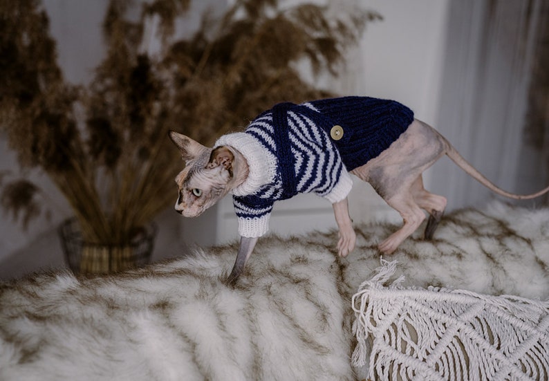 Hand Knit Sweater for Cat Alpaca Wool Devon Rex Clothes - Etsy