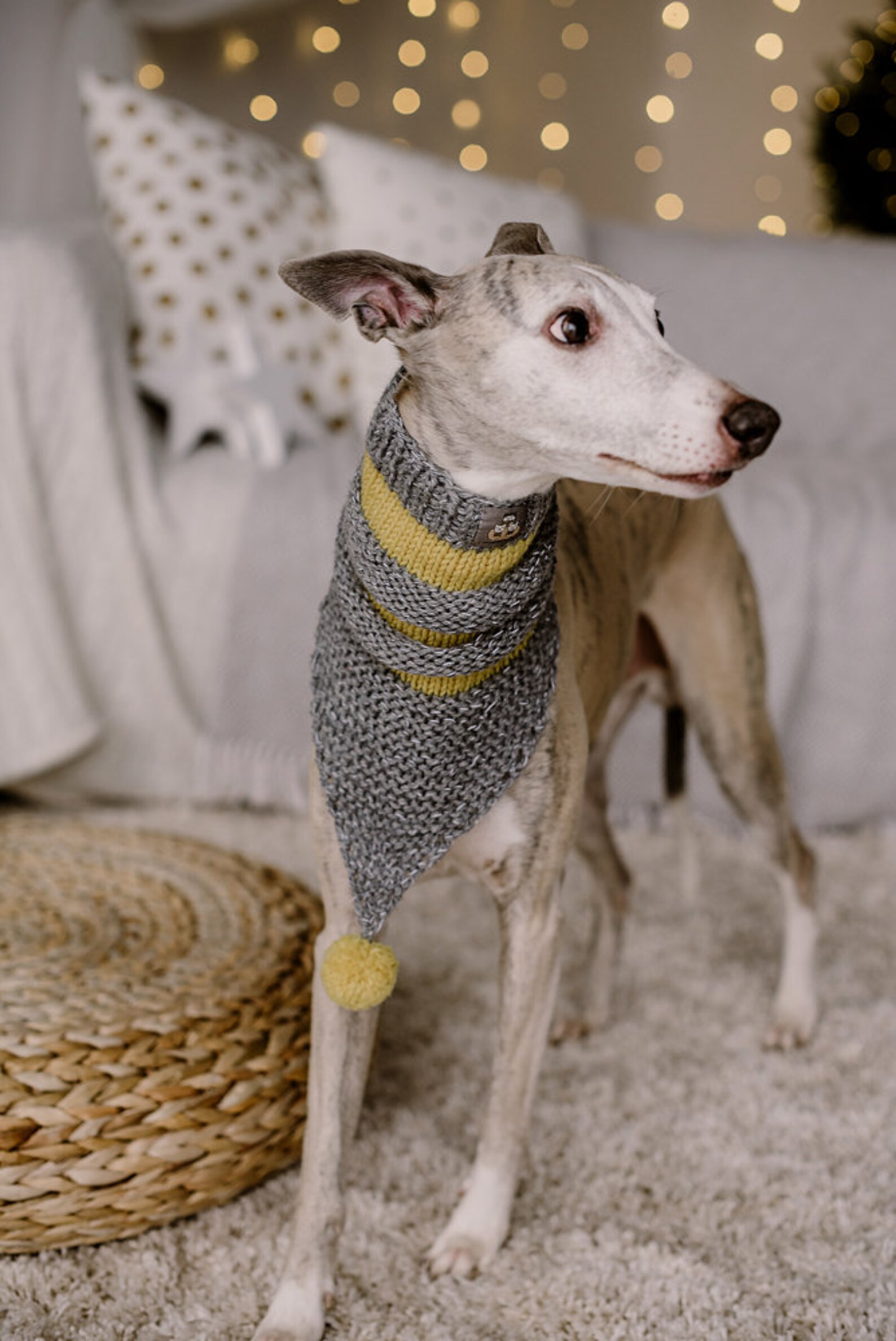 Wool Big Dog Scarf Hand Knit Greyhound Snood Dog Neck Warmer Whippet ...