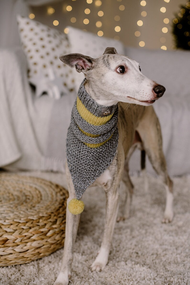 Hand Knit Dog Snood Whippet Scarf Wool Pom Pom Greyhound Snood Dog Neck ...