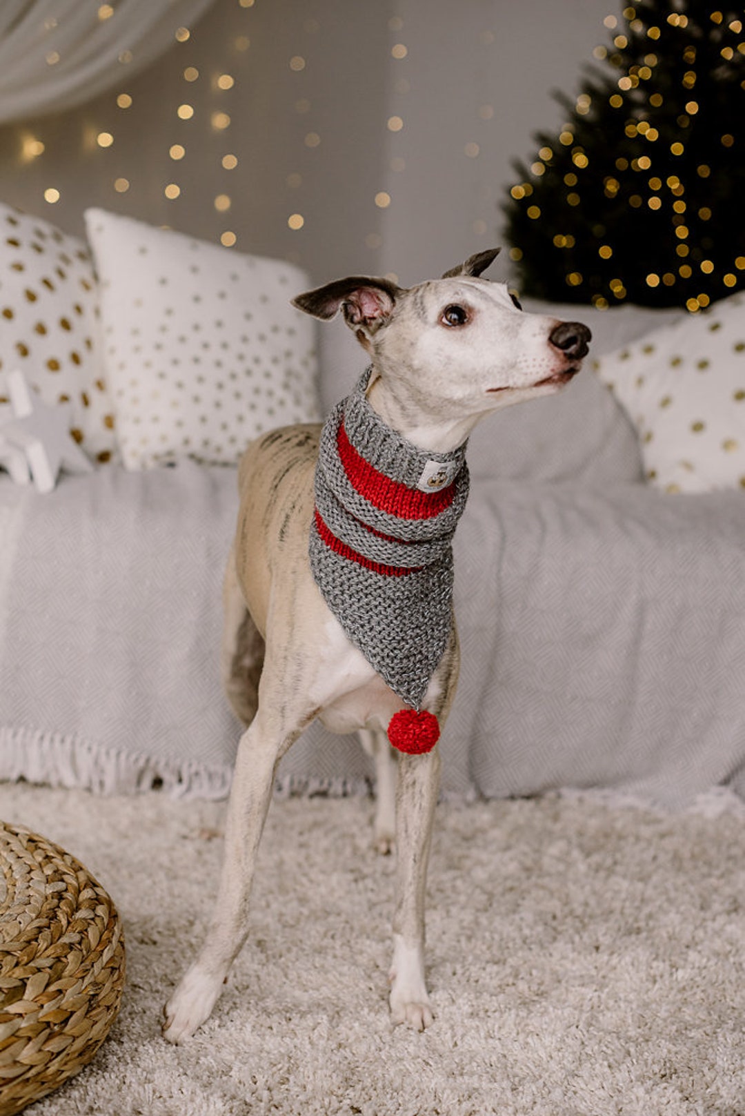 Hand Knit Dog Snood Whippet Scarf Wool Pom Pom Greyhound Snood Dog Neck ...