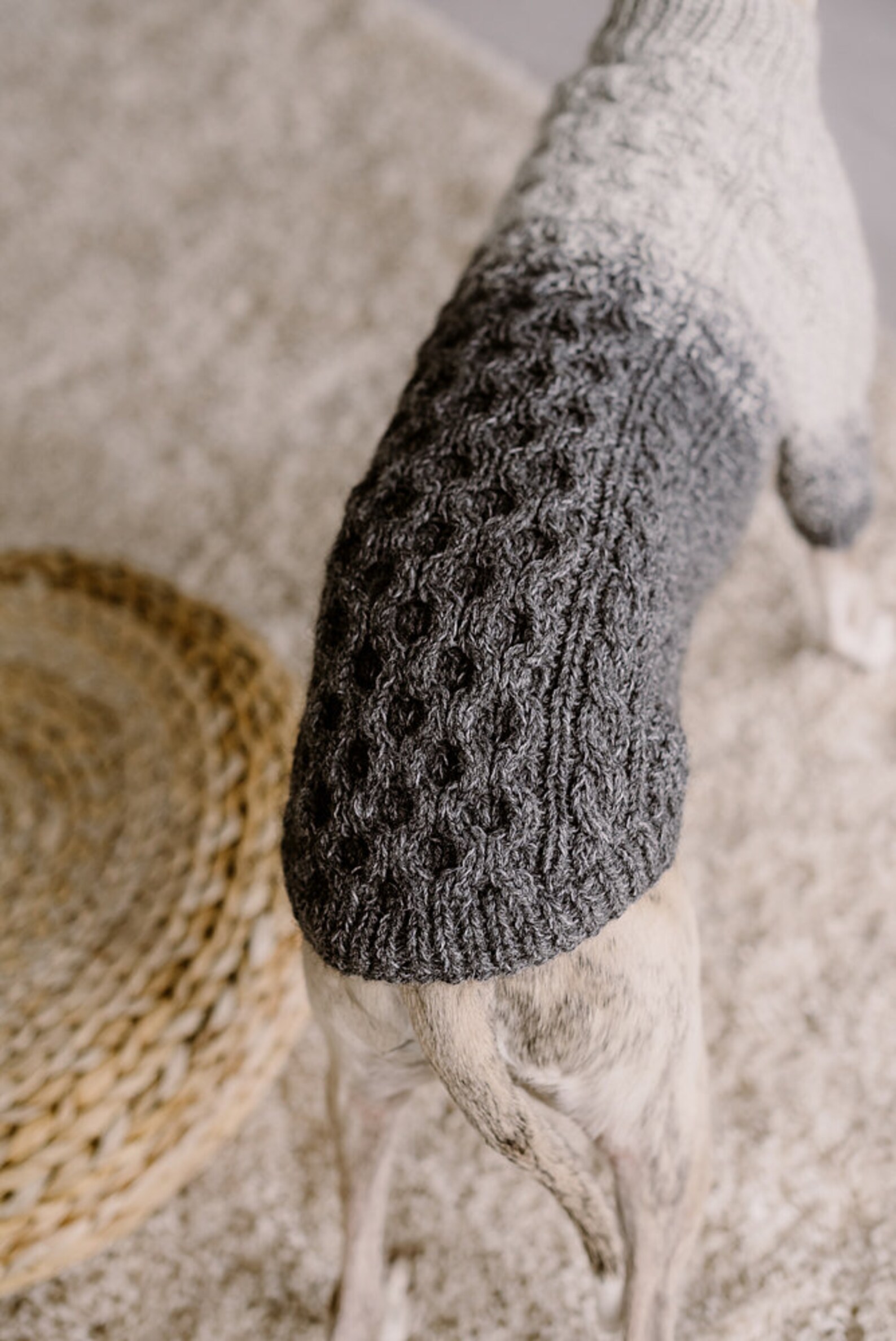 Hand Knit Whippet Sweater Big Dog Clothes Handmade Cable Knit | Etsy