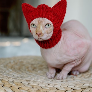 Yellow Cat Hat Hand Knit Sphynx Cat Accessories Pet Winter Beanie for ...