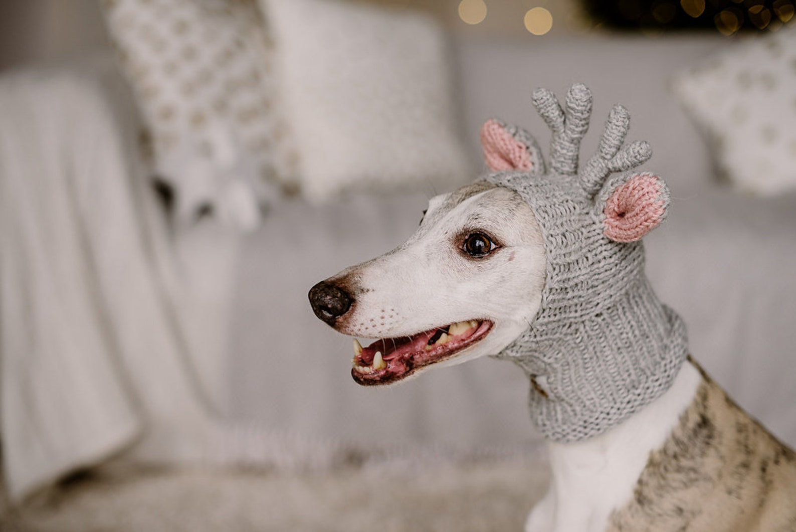 Reindeer Dog Hat Hand Knit Dog Snood Whippet Ear Warmer - Etsy