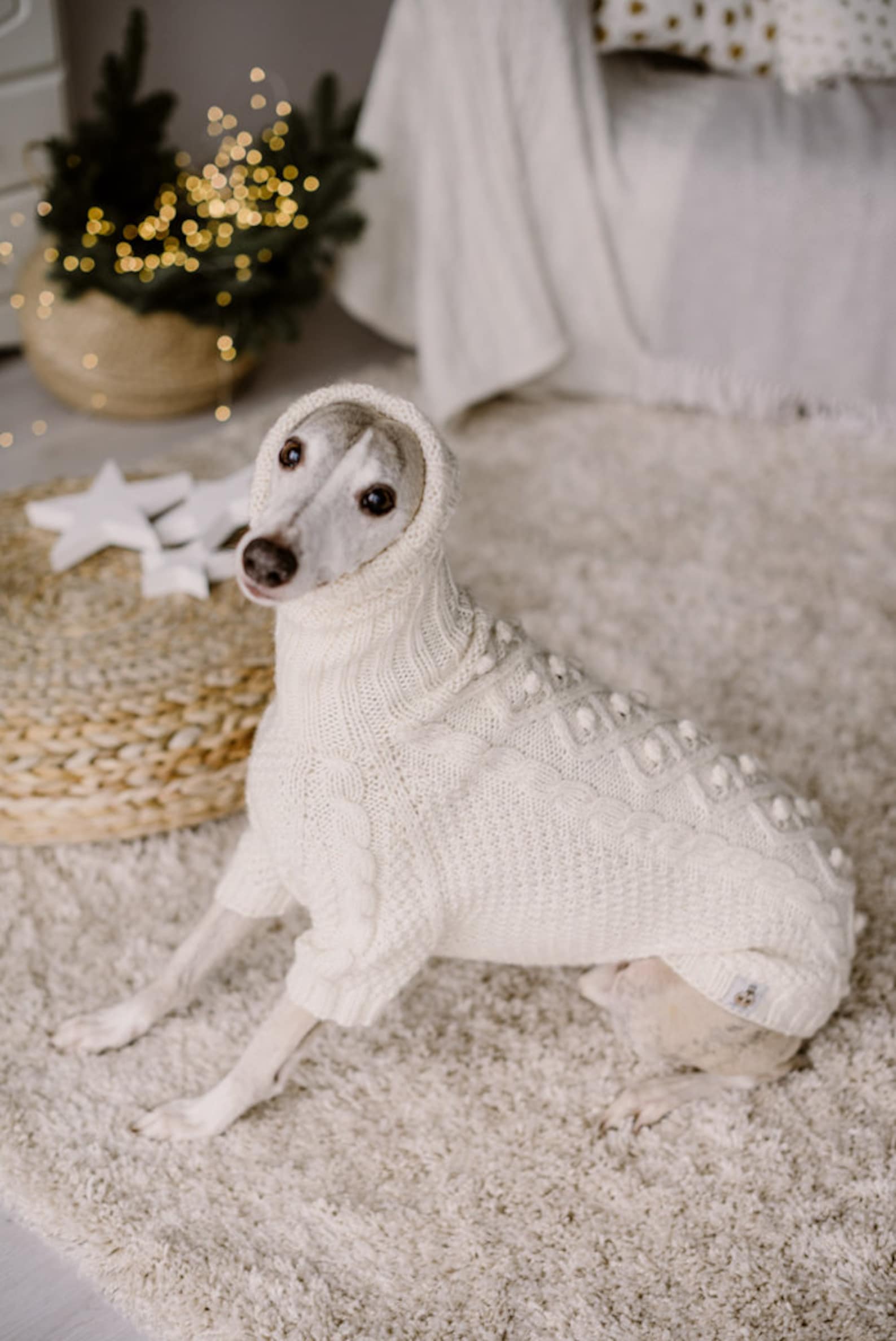 Whippet Sweater Hand Knit Italian Greyhound Clothing Turtleneck Large ...