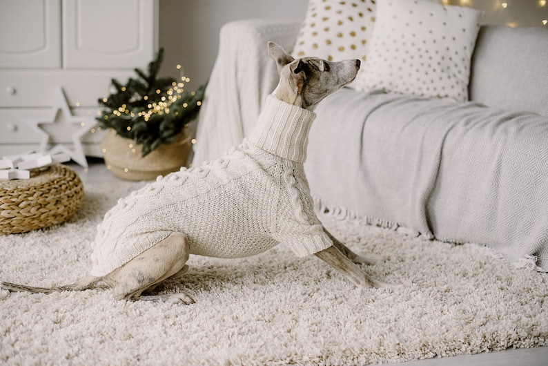 Whippet Sweater Hand Knit Italian Greyhound Clothing Turtleneck Large ...
