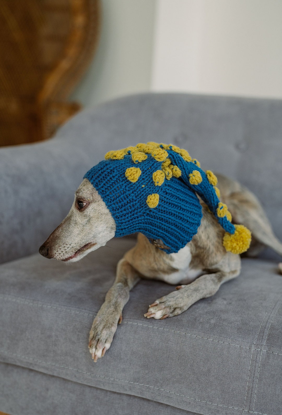 Whippet Hat Pom Pom Beanie for Large Dog Snood Blue Hand Knit Scarf ...