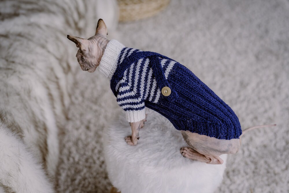 Hand Knit Sweater for Cat Alpaca Wool Devon Rex Clothes | Etsy