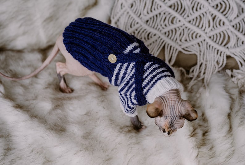 Hand Knit Sweater for Cat Alpaca Wool Devon Rex Clothes - Etsy