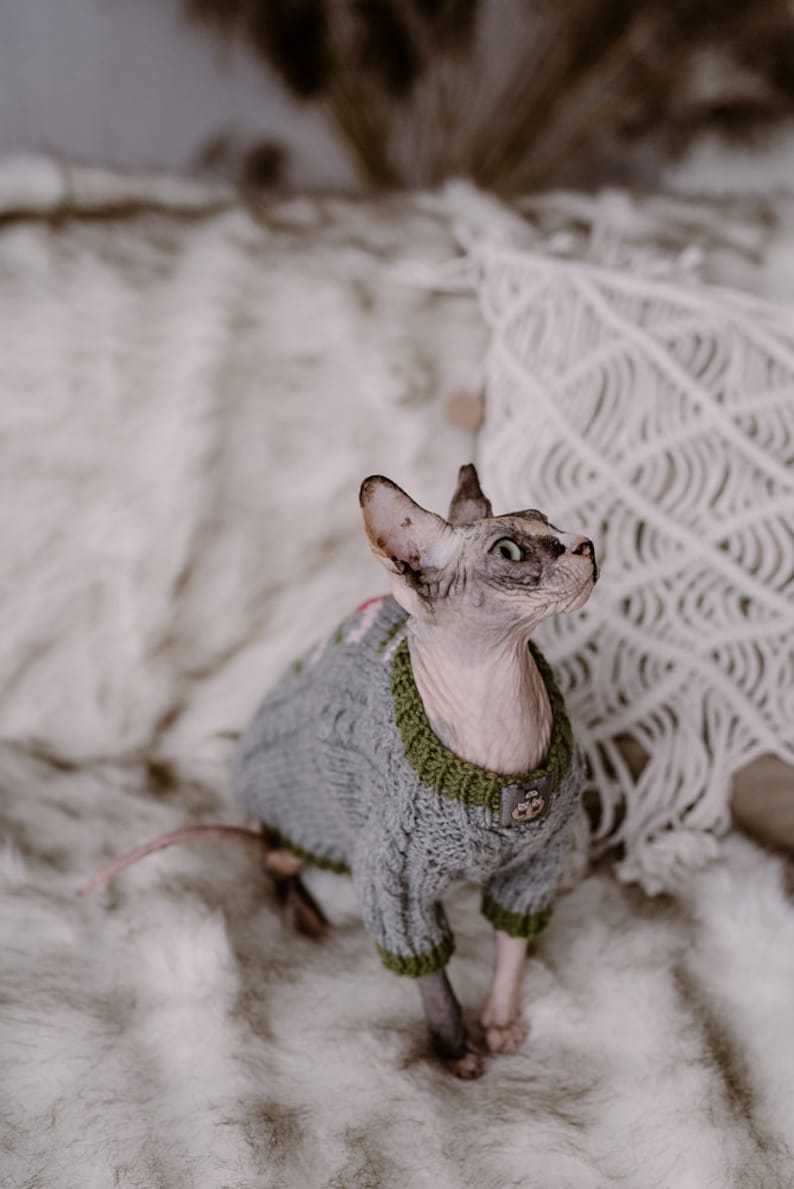 Gray cable knit cat sweater Sphynx cat jumper with tulips | Etsy
