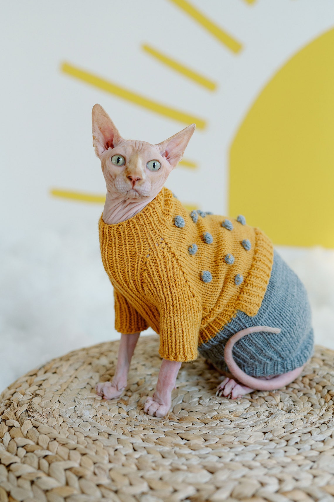 Cat Sweater Popcorn Knit Sphynx Cat Pullover Hairless Cat Jumper Pet ...
