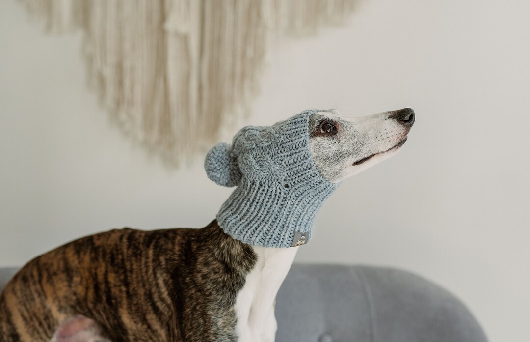 Dog Snood Greyhound Ear Warmer Hand Knit Whippet Beanie Hat Wool ...