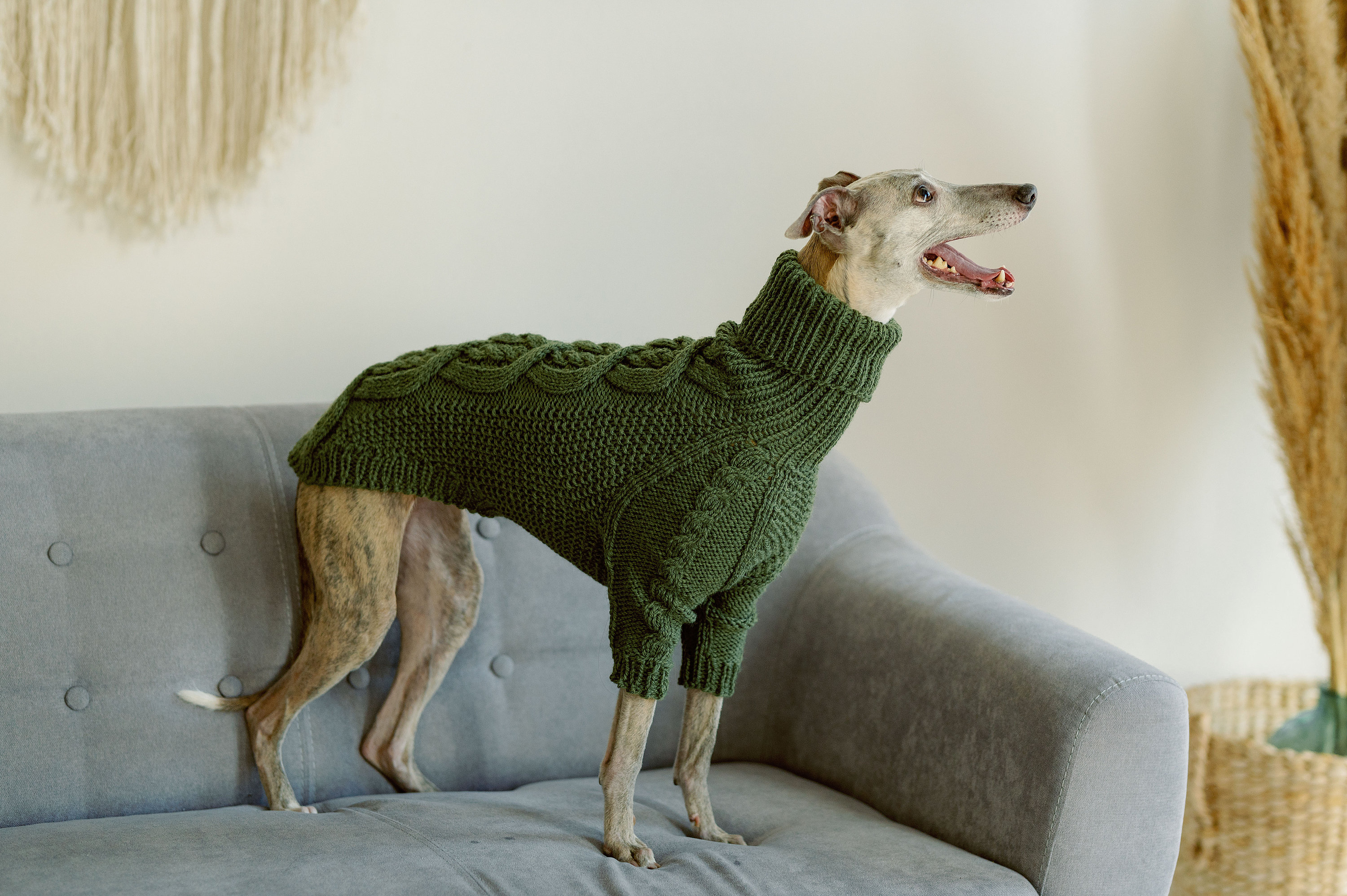 Italian Greyhound Clothing Large Dog Sweater Wool Whippet Clothes Hand ...