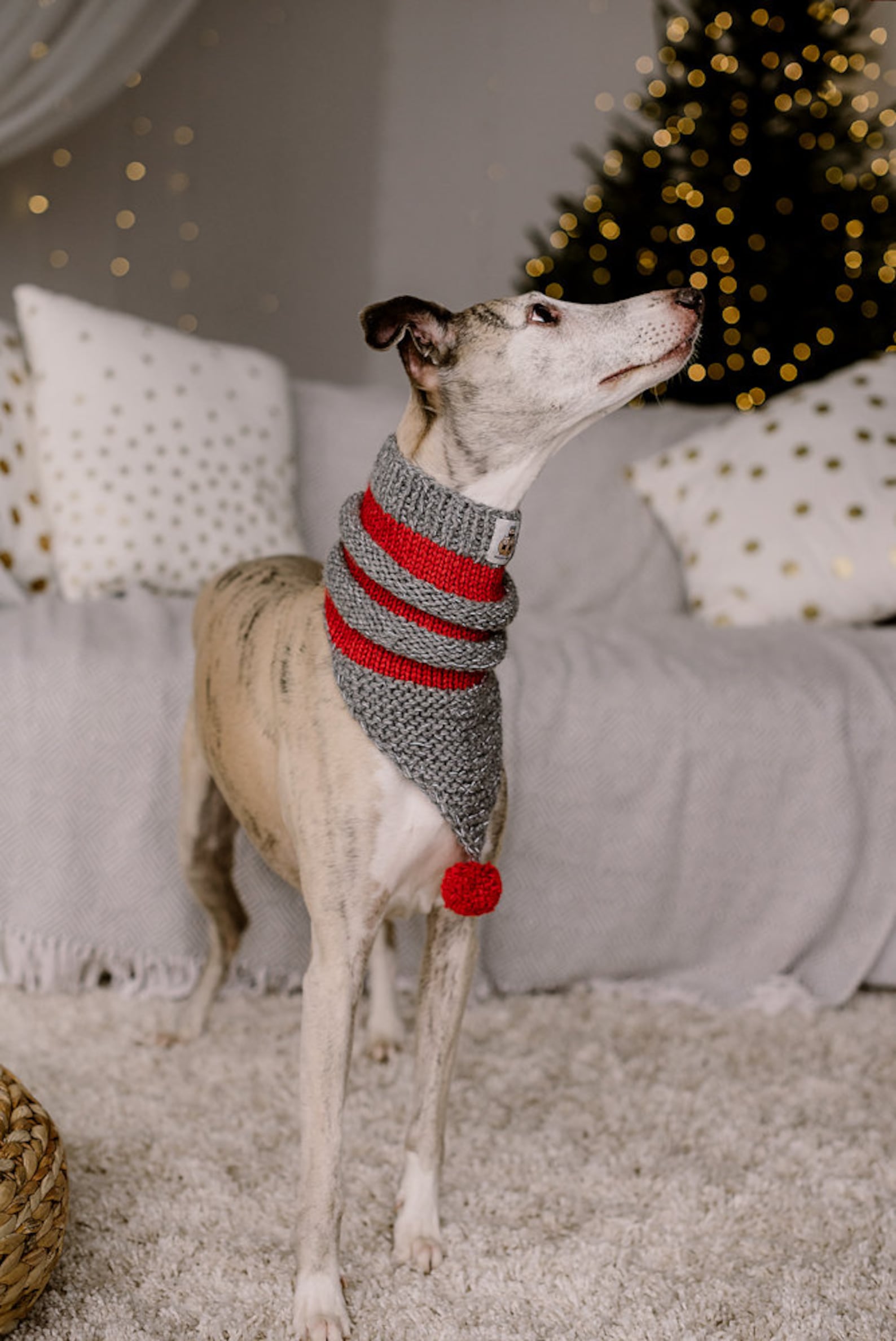 Wool Big Dog Scarf Hand Knit Greyhound Snood Dog Neck Warmer Whippet ...