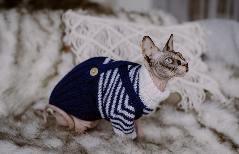 Hand Knit Sweater for Cat Alpaca Wool Devon Rex Clothes - Etsy