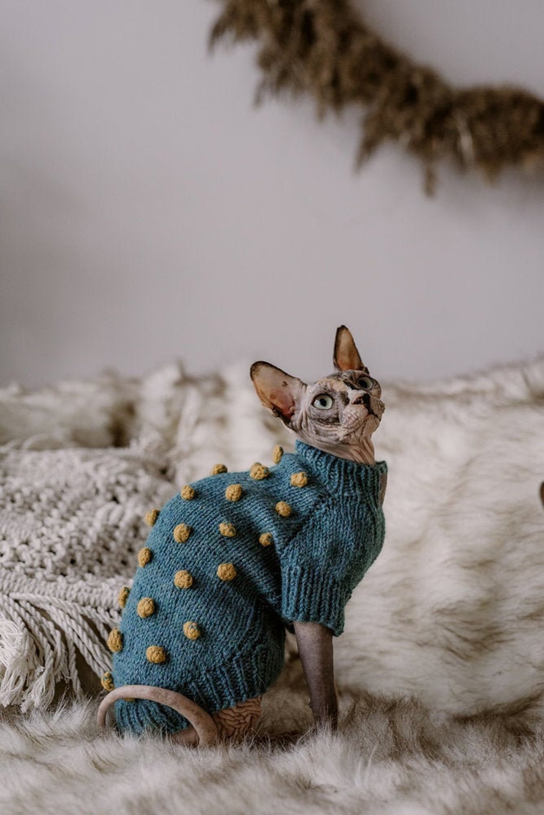 Blue Sweater for Cat Devon Rex Clothes Hairless Cat Popcorn Hand Knit ...