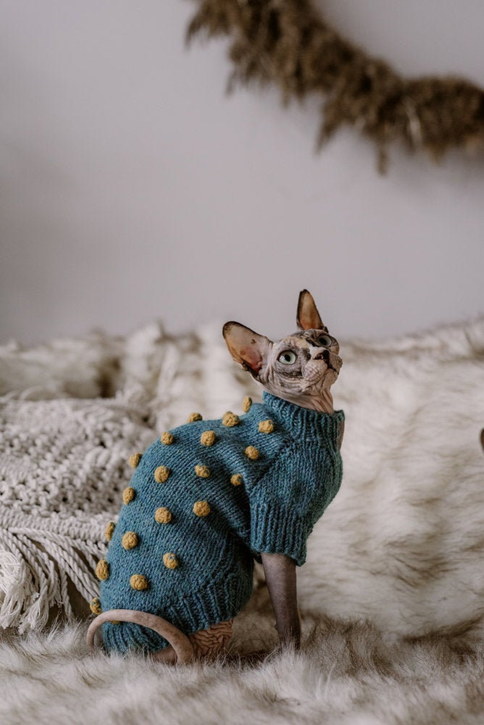 Blue Sweater for Cat Devon Rex Clothes Hairless Cat Popcorn | Etsy