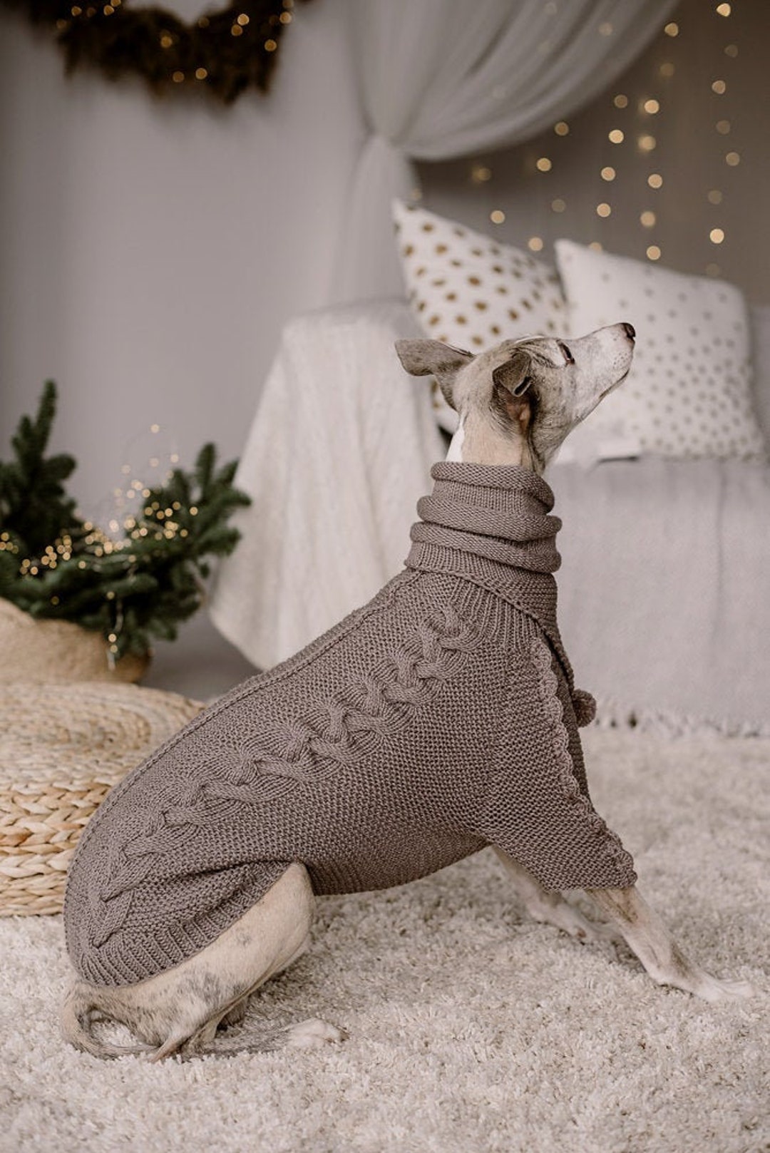 Italian Greyhound Sweater Hand Knit Whippet Clothes Wool Large Dog ...