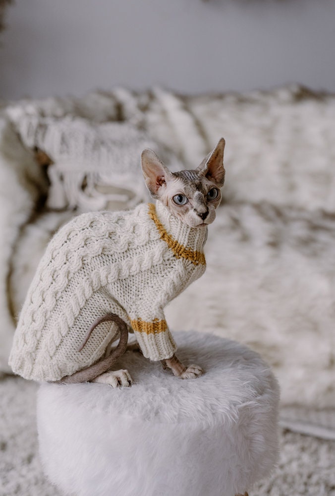 Hand Knit Cat Sweater Wool Hairless Cat Clothes Sphynx Cat | Etsy